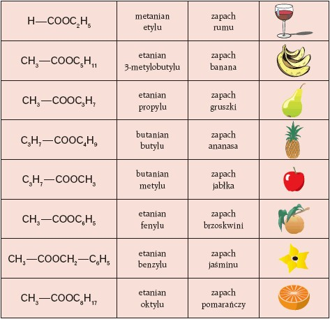 Nomenklatura - Estry - Chemia - Sciaga.pl