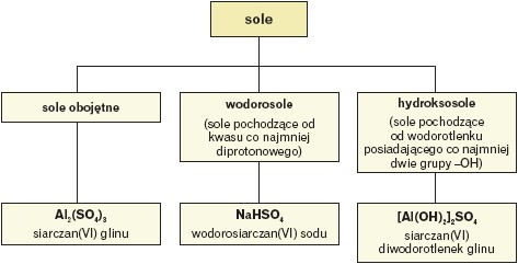Sposoby klasyfikacji soli ze względu na budowę - Sole - Chemia - Sciaga.pl