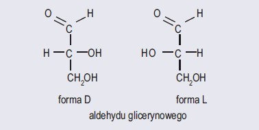 Monosachardy - Węglowodany (cukrowce, cukry, sacharydy) - Biologia ...