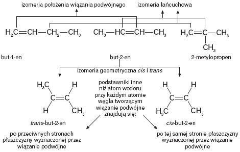 Izomeria - Węglowodory nienasycone (alkeny) - Chemia - Sciaga.pl