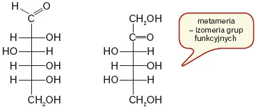 Monosacharydy - Węglowodany (cukry, sacharydy) - Chemia - Sciaga.pl